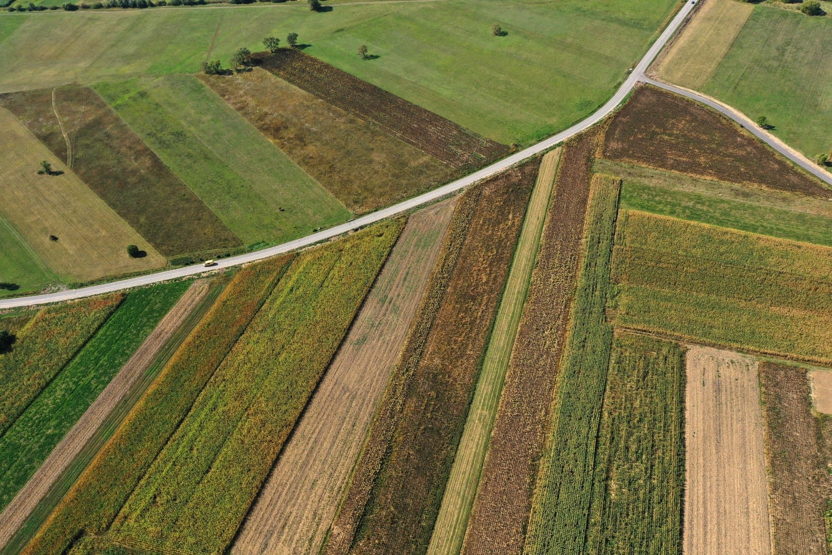 What Can I Grow Up in My 1000 Square Feet Land? - Organicho